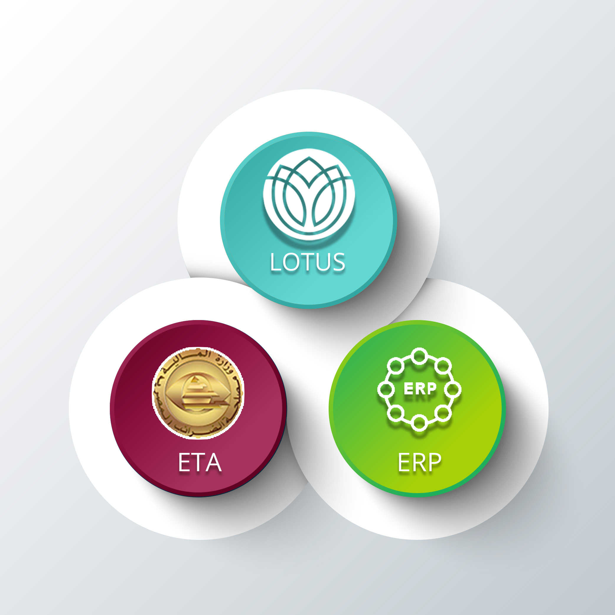 Lotus | Egyptian e-Invoice System