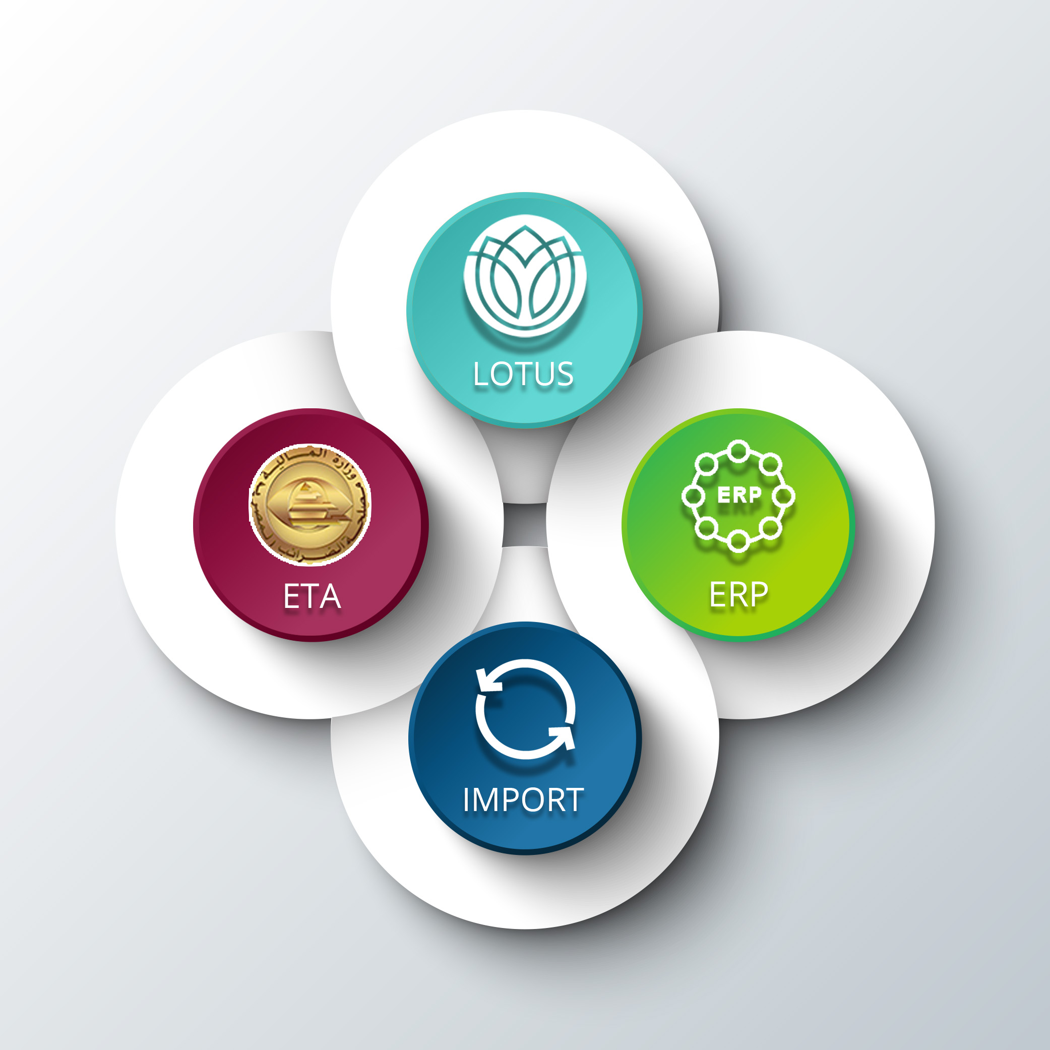 Lotus | Egyptian e-Invoice System