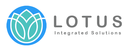 Lotus | Egyptian e-Invoice System